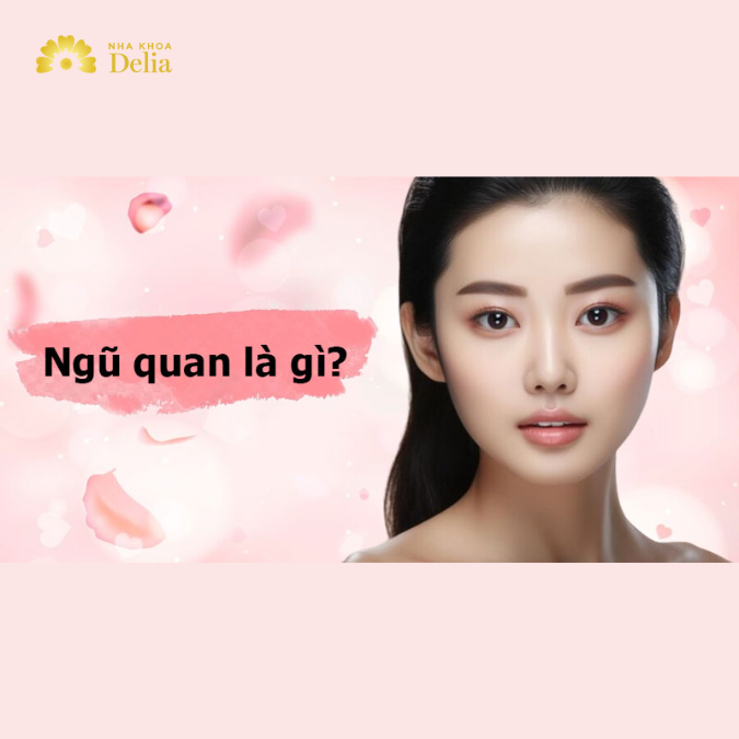 Ngũ quan là gì? Ngũ quan hài hòa, tinh xảo là gì?